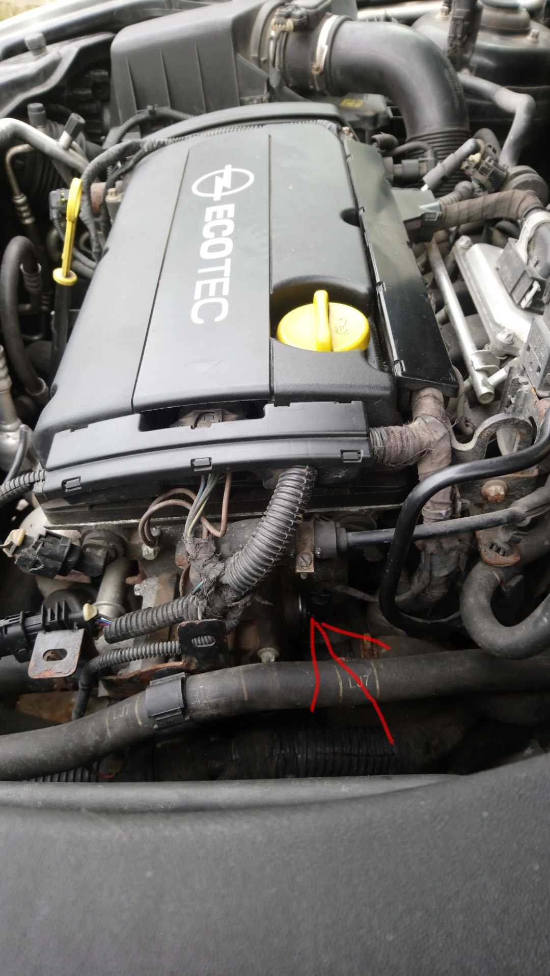 Замена злосчастного датчика ОЖ — Opel Vectra C, 1,8 л, 2008 года ...