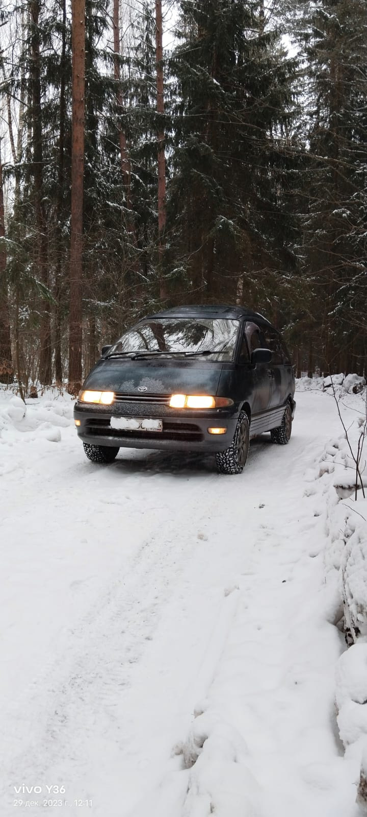 Прогулка в лес — Toyota Estima Lucida, 2,2 л, 1993 года | фотография ...