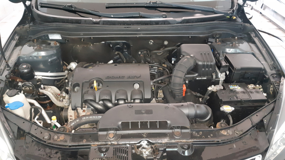 Прокладка клапанной крышки. — KIA Ceed (1G), 1,6 л, 2011 года ...
