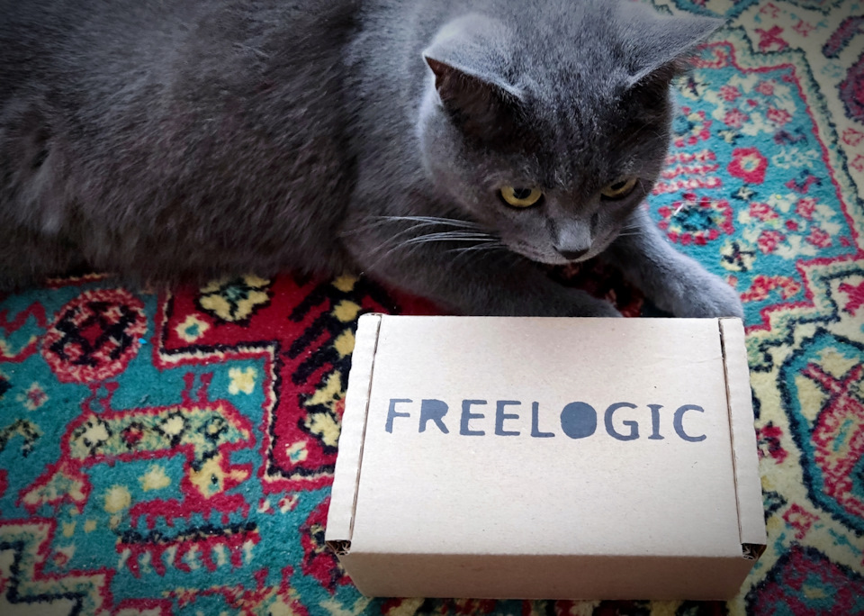 Freelogic WiFi Middle (аналог Racelogic/Dragy). Обзор и первое впечатление. — Hyundai Solaris ...