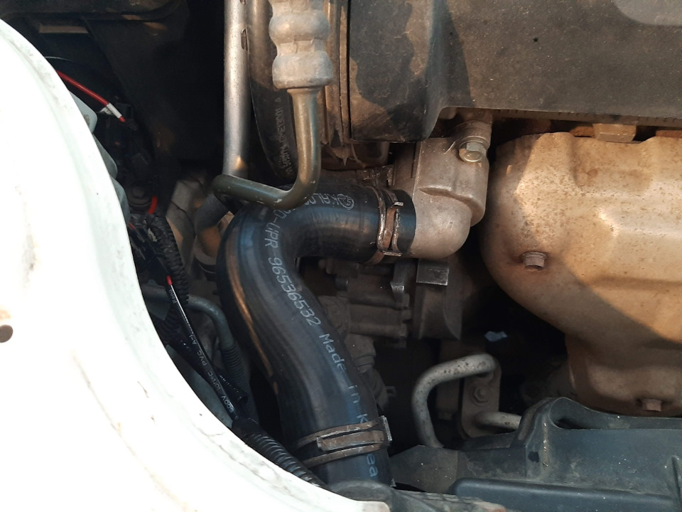 96536532 Шланг радиатора верхний / Chevrolet Aveo 1.4 03~ GM | Запчасти ...