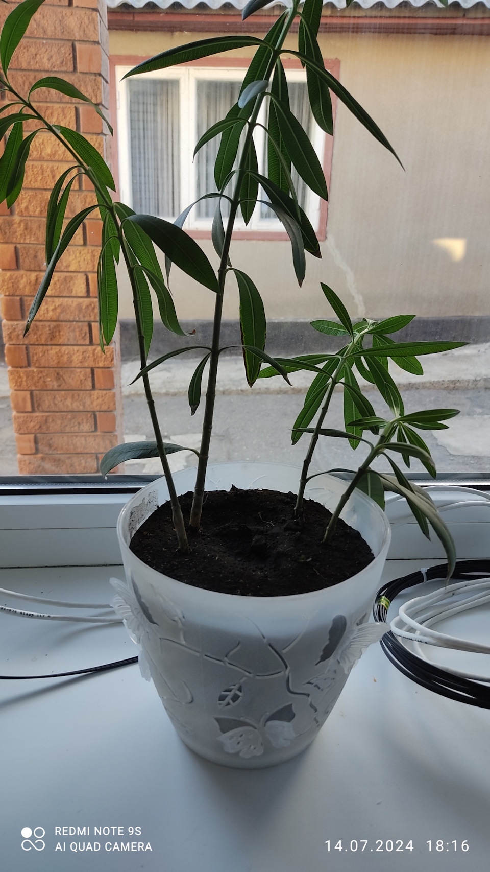 Дом (Часть 68). — DRIVE2