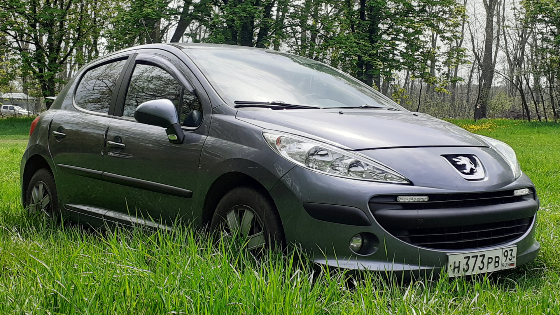 Peugeot 207 🇫🇷 Lion Gris на выборах. Поддержим… — Peugeot 207, 1,4 л ...
