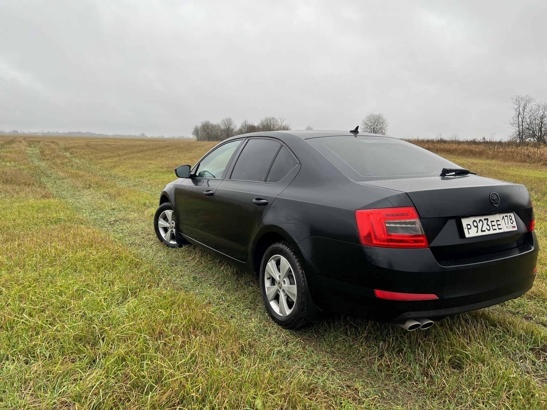 Чисто бесящий звук (уже года 3 наверно) — Skoda Octavia A7 Mk3, 1,4 л ...