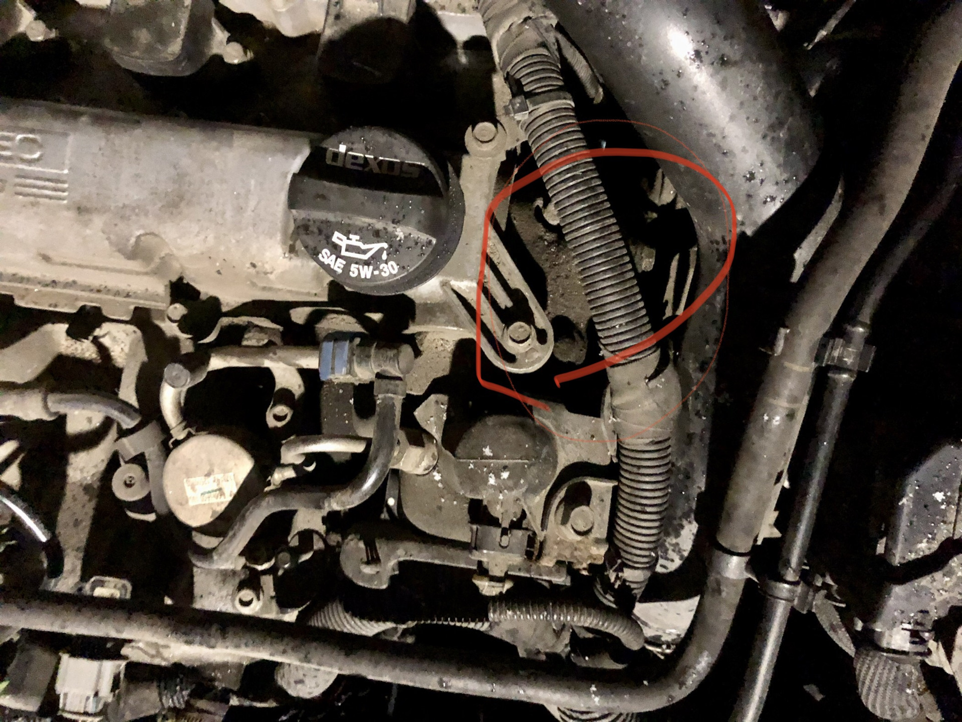 Требуется подсказка (A20NHT) — Opel Insignia (1G), 2 л, 2011 года ...