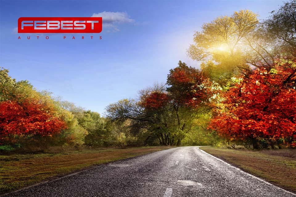 С праздником народного единства! — FEBEST на DRIVE2