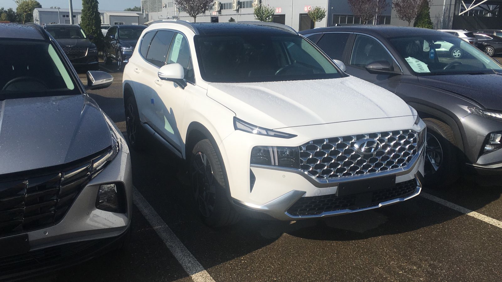 Hyundai Santa Fe (4G) 2.2 дизельный 2021 | N Line Wh1te Sh4rk на DRIVE2