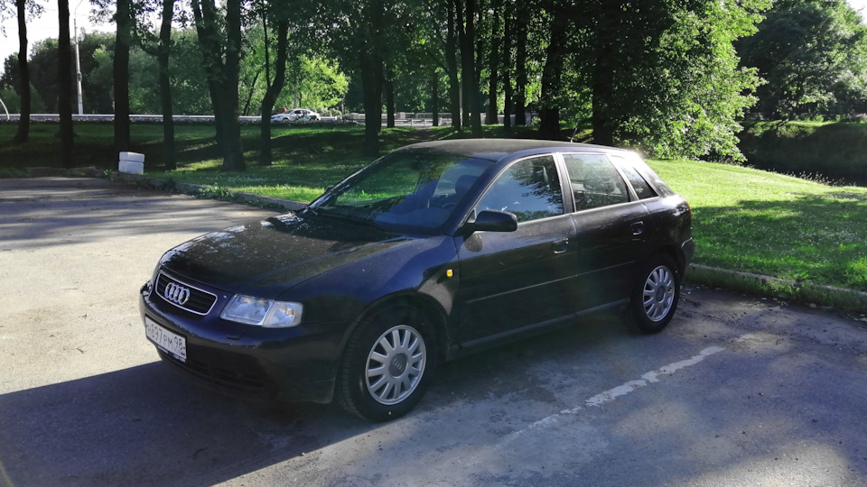 Шины Pirelli Cinturato P1 195/65 R15 91H — Audi A3 (8L), 1,8 л, 2000 года | шины | DRIVE2