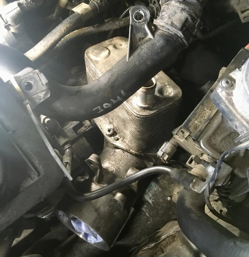 Замена прокладок масляного стакана и теплообменника — BMW X3 (E83), 3 л ...