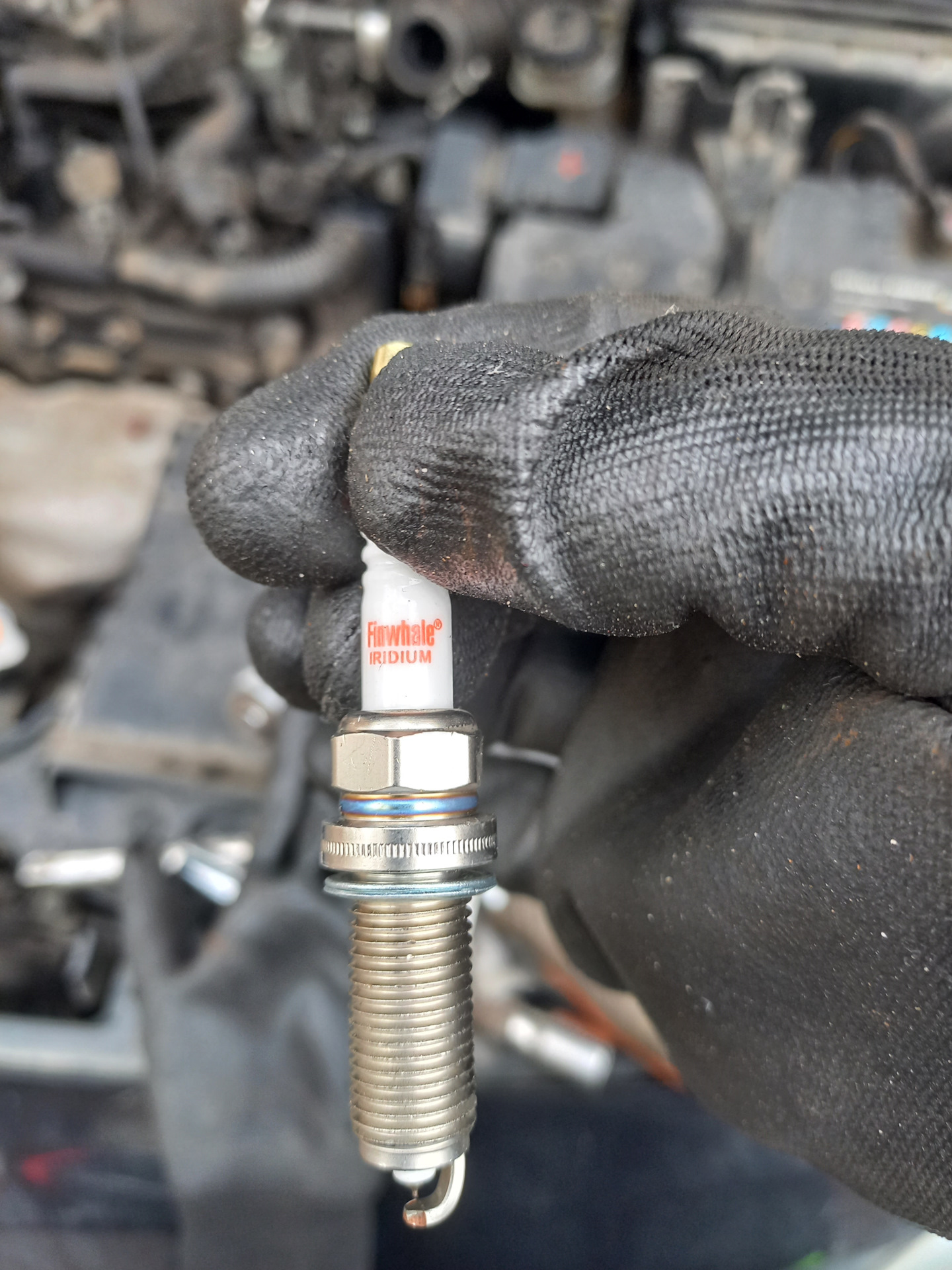 Замена свечей Finwhale FSI102 — Renault Koleos (1G), 2,5 л, 2010 года ...