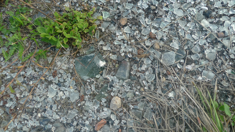 Вернул на место штатные лампочки салона — Opel Insignia (1G), 2 л, 2012 ...