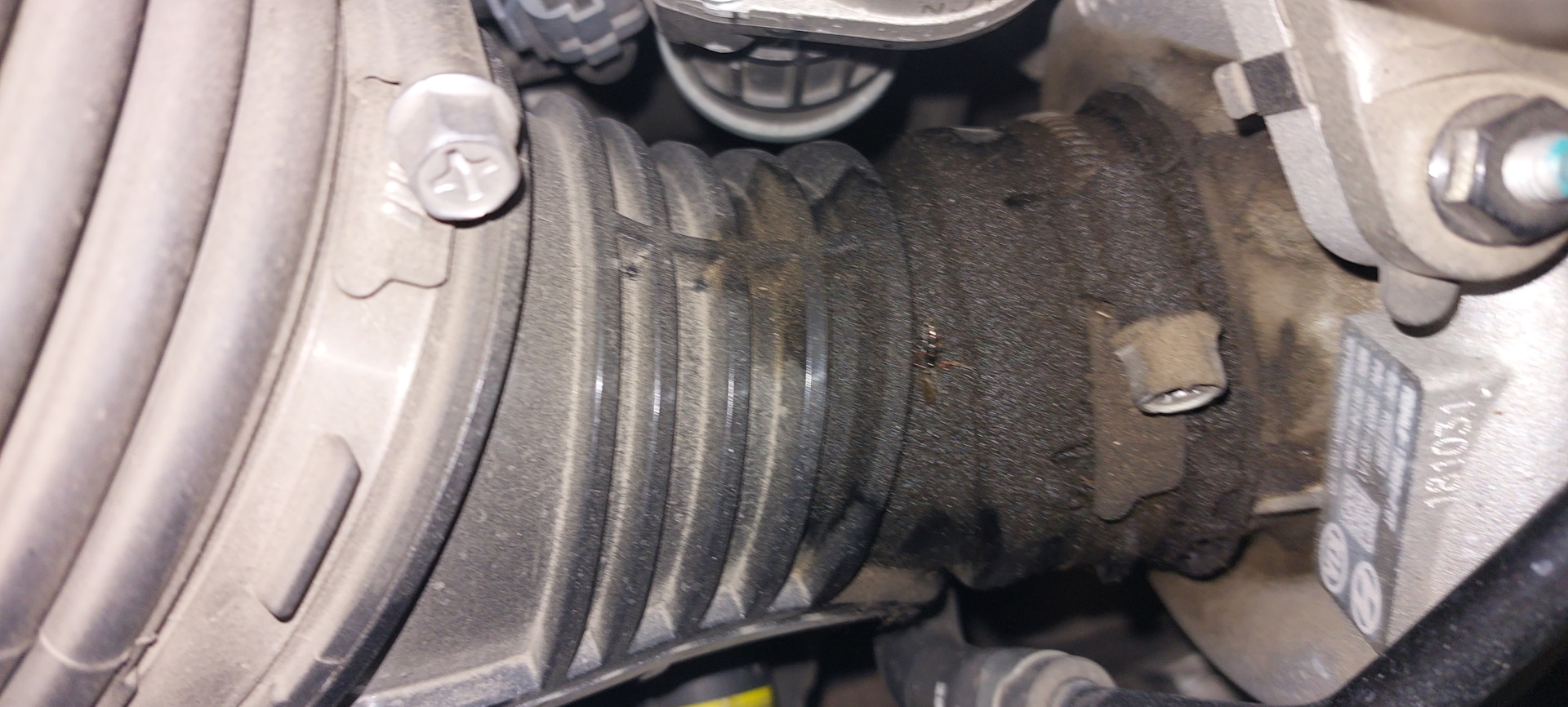 Запотевание турбины — KIA Optima (4G), 2 л, 2019 года | поломка | DRIVE2