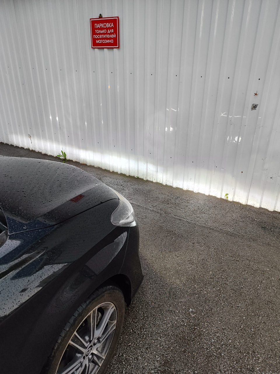 MTF LIGHT Activе Night в ПТФ Toyota — Toyota Corolla Fielder (E160), 1 ...