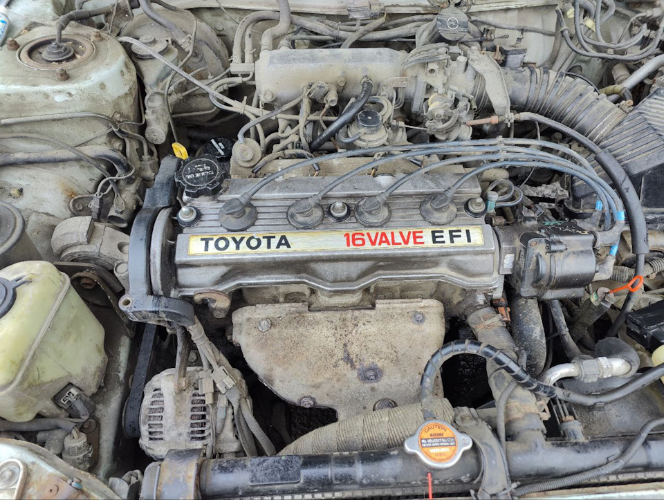 Замена уплотнительных резинок по верху мотора — Toyota Carib (95), 1,6 ...