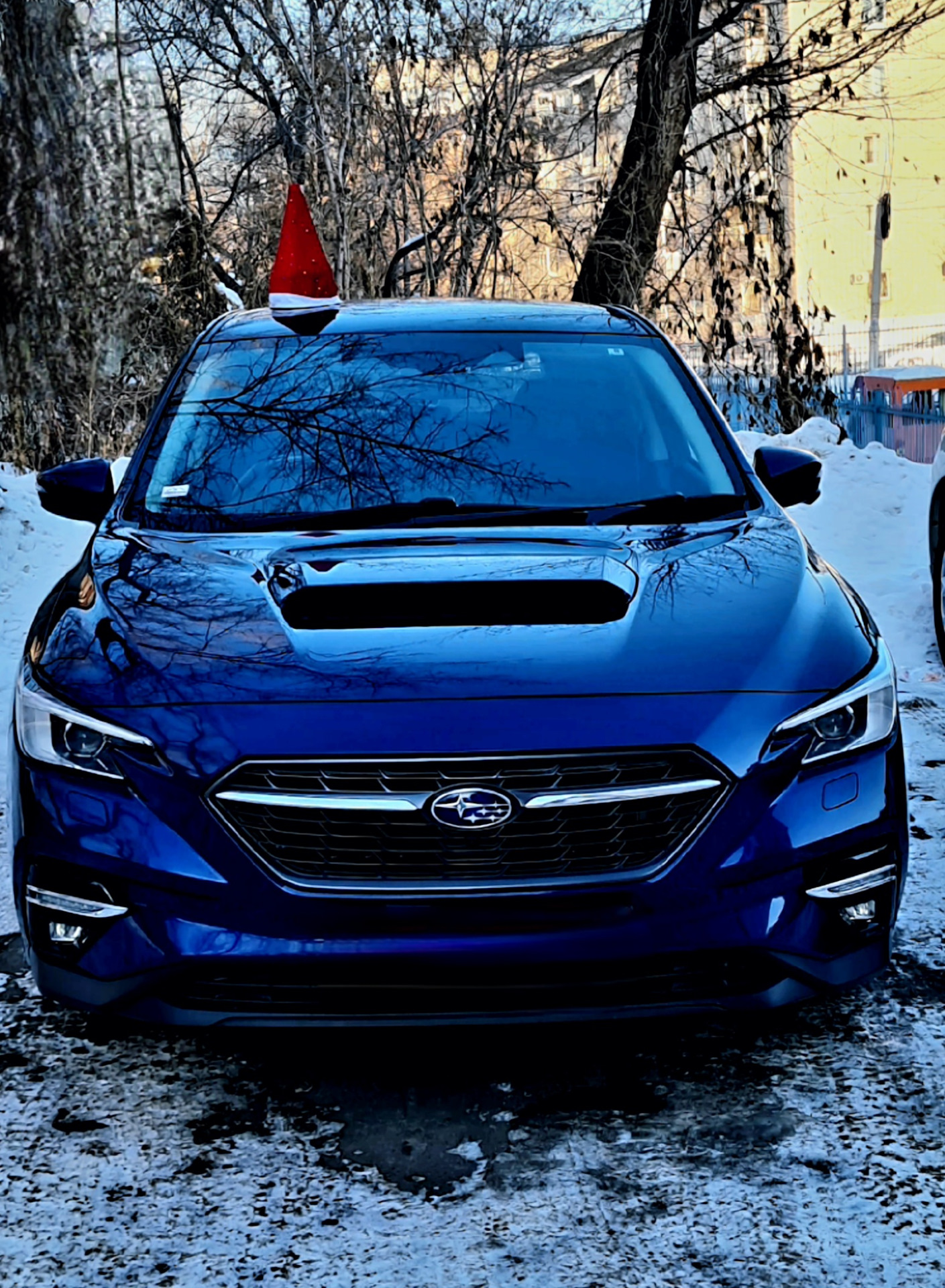 Обживание территорий обновленным японцем — Subaru Levorg (VN), 1,8 л, 2021 года | другое | DRIVE2