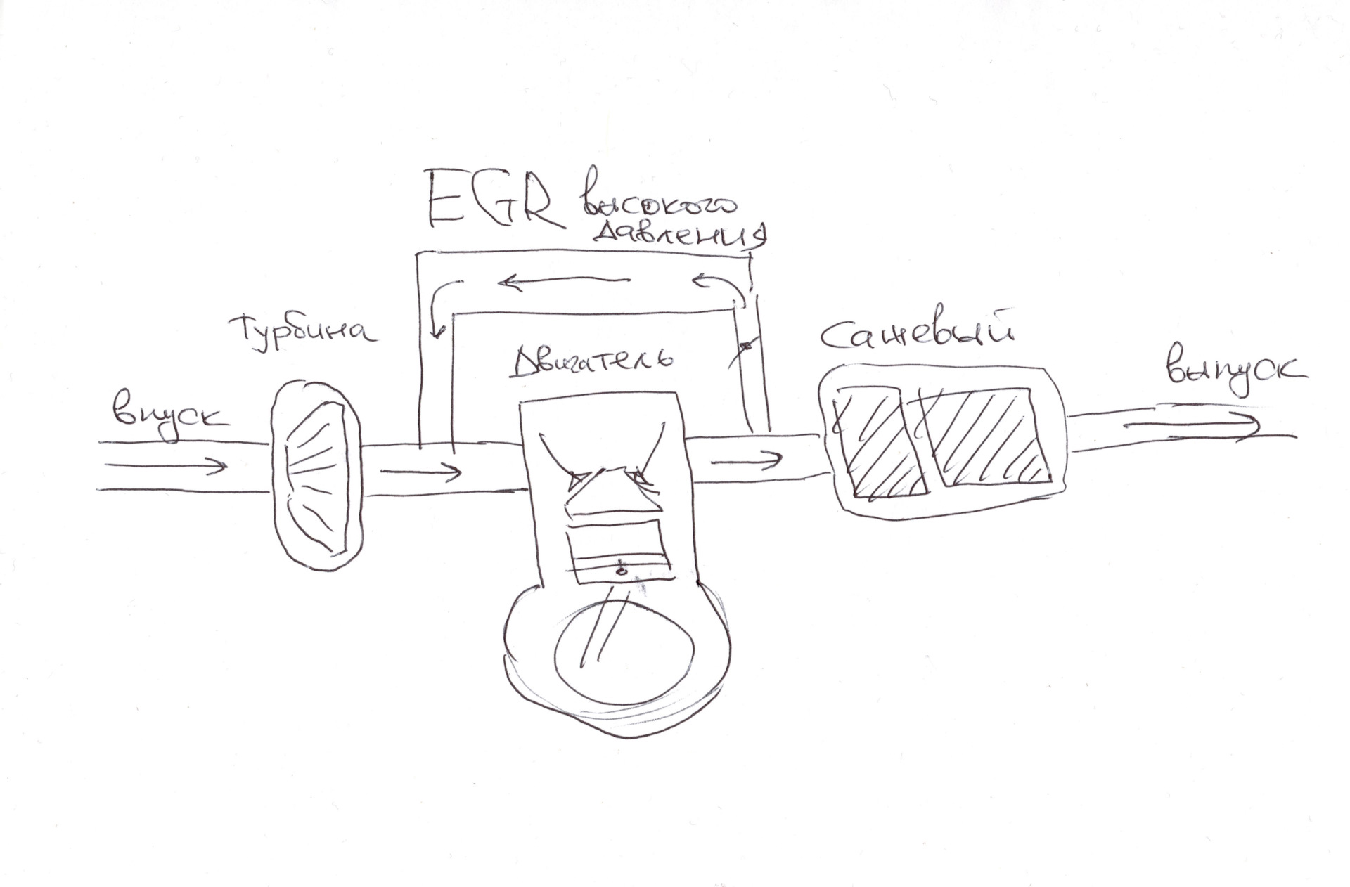 Никто не знает про EGR — DRIVE2