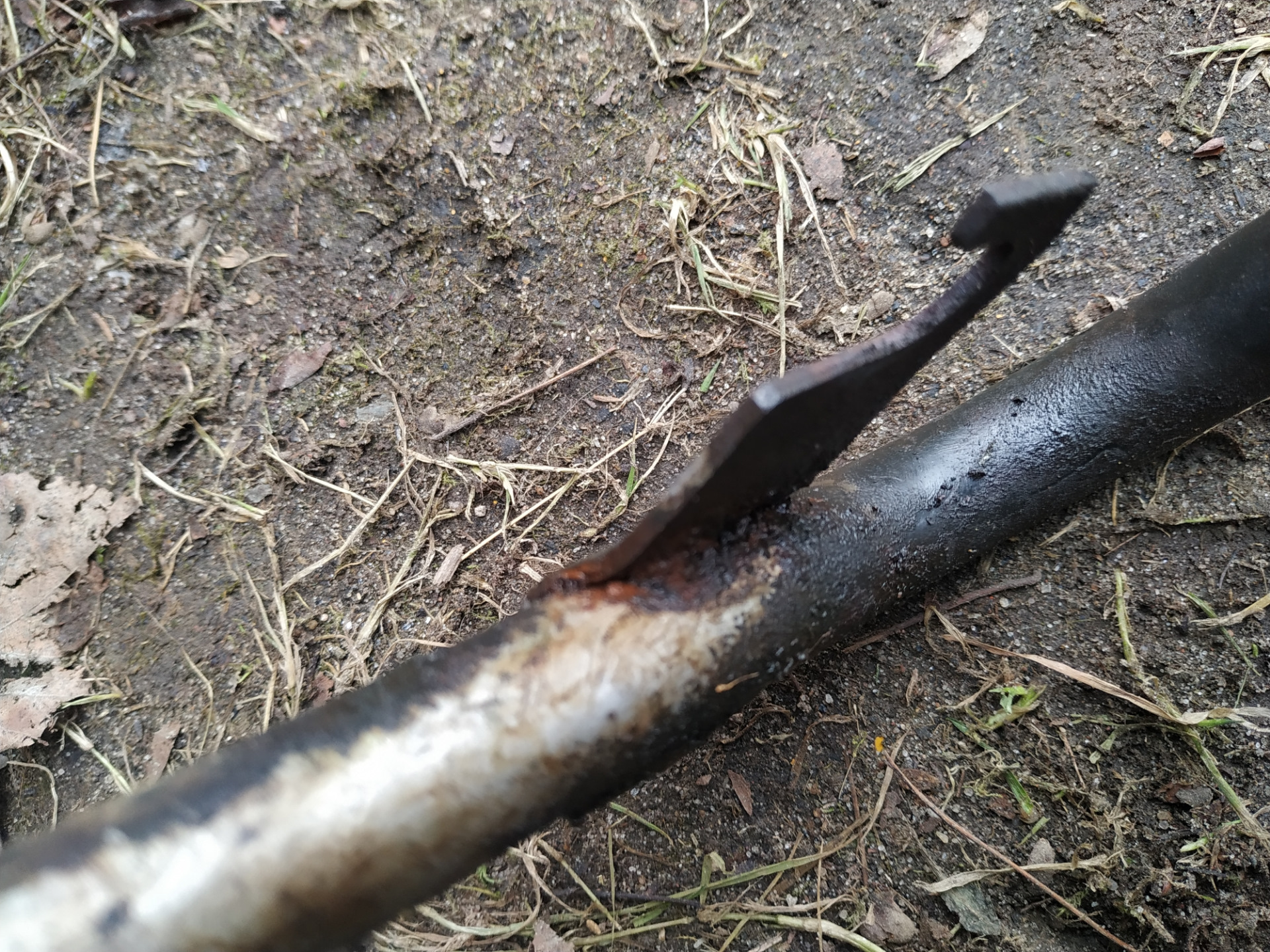 Toyota Windom (30) 3.0 бензиновый 2001 | почти лексус на DRIVE2