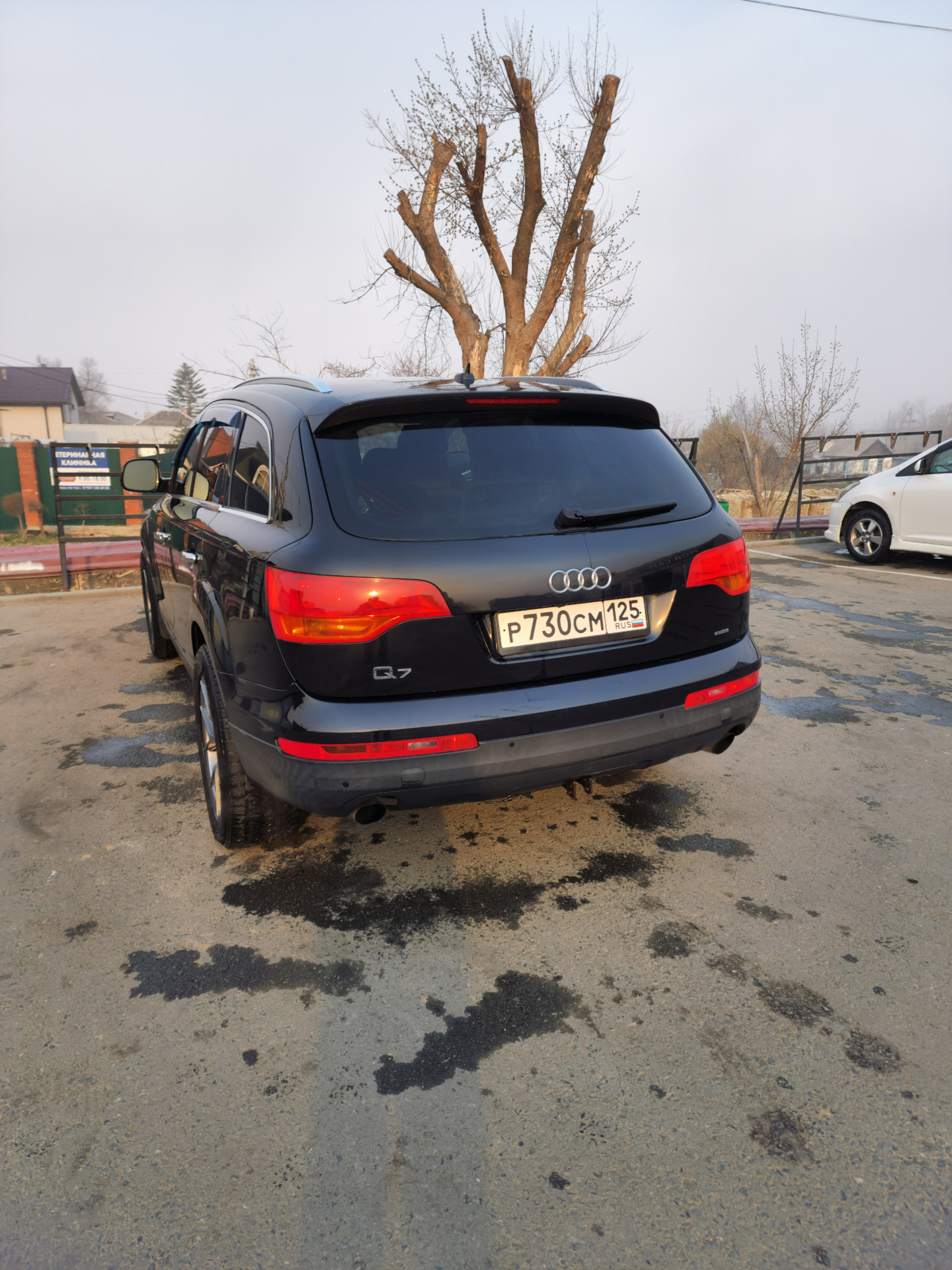 Водные процедуры — Audi Q7 (1G), 3,6 л, 2006 года | просто так | DRIVE2