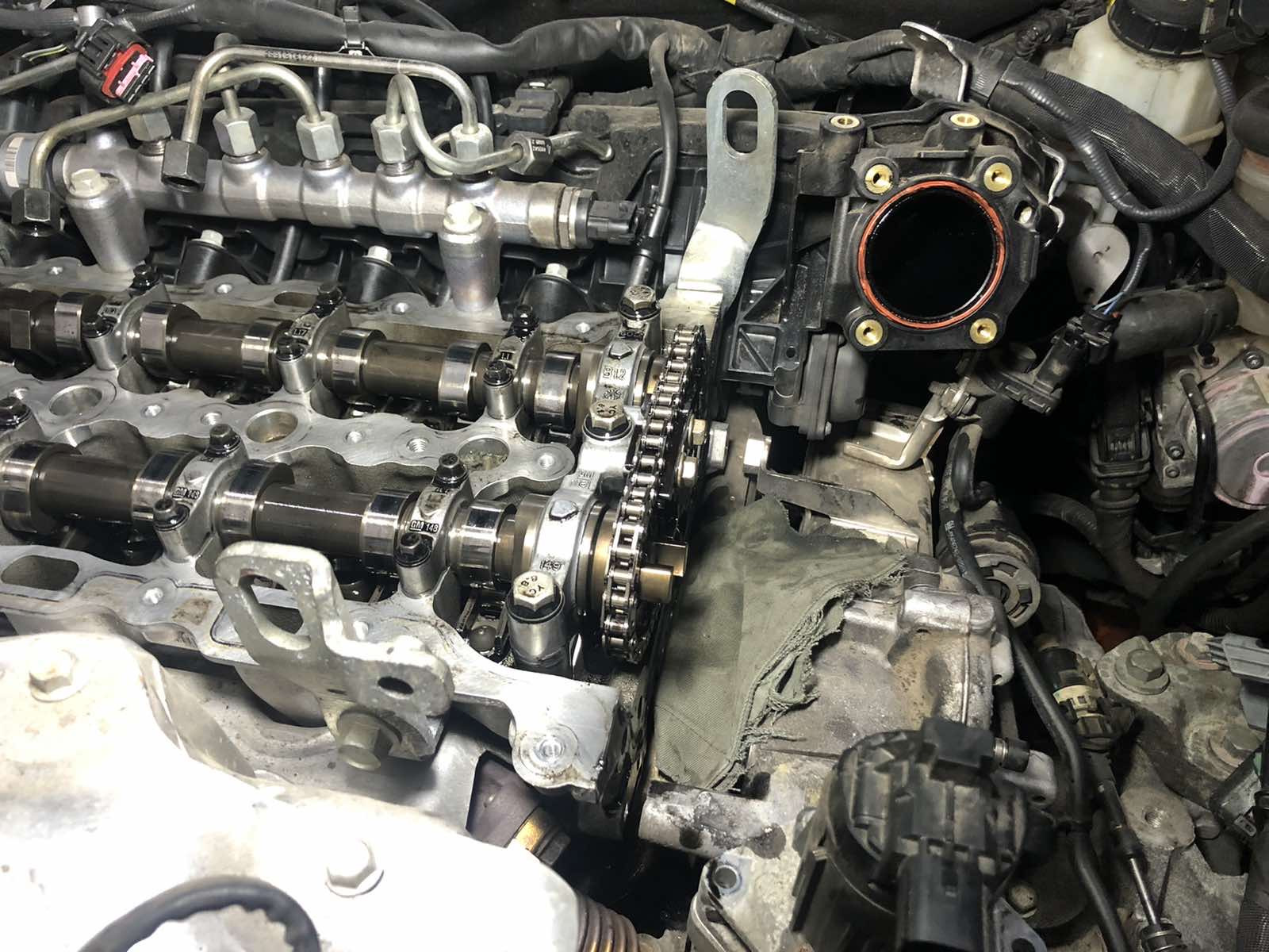 Цепь распредвалов B20DTH — Opel Insignia Sports Tourer (1G), 2 л, 2016 ...