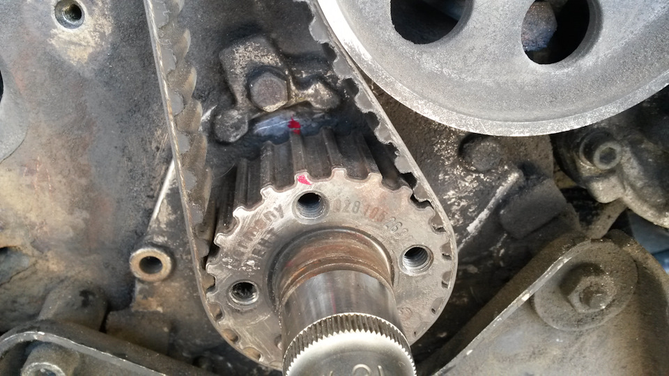 Замена комплекта ремня ГРМ — Audi A4 (B5), 1,9 л, 1999 года | своими ...