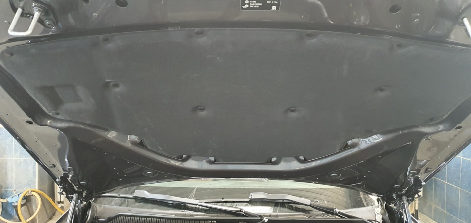 Первая запись по делу. Шумка капота, коврик багажника — BMW 3 series ...