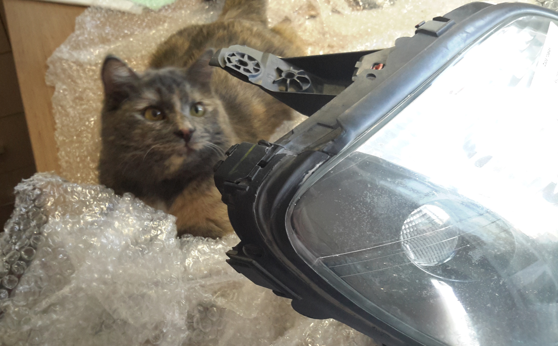 Затуманенный взор… (правая фара) — Renault Scenic RX4, 2 л, 2001 года ...