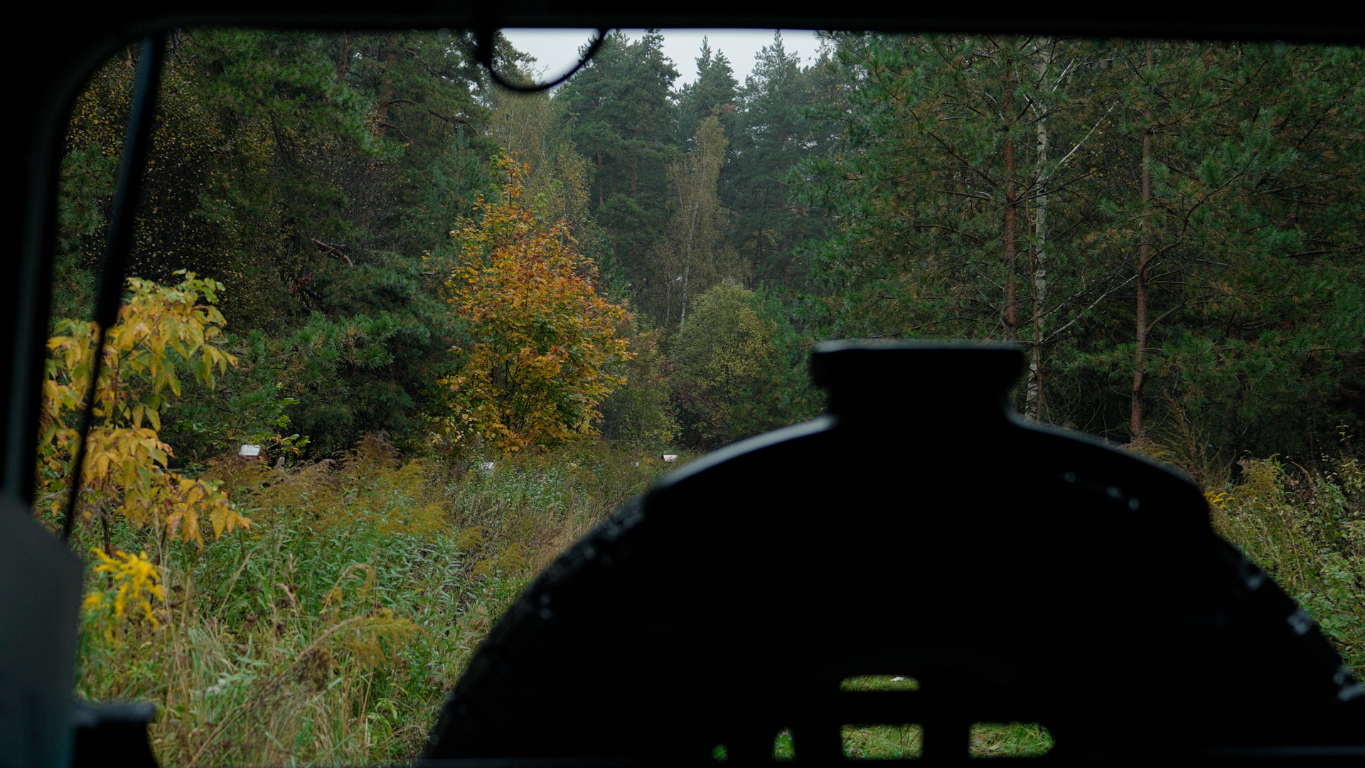 Первые наблюдения — Jeep Wrangler (JL), 2 л, 2021 года | покатушки | DRIVE2