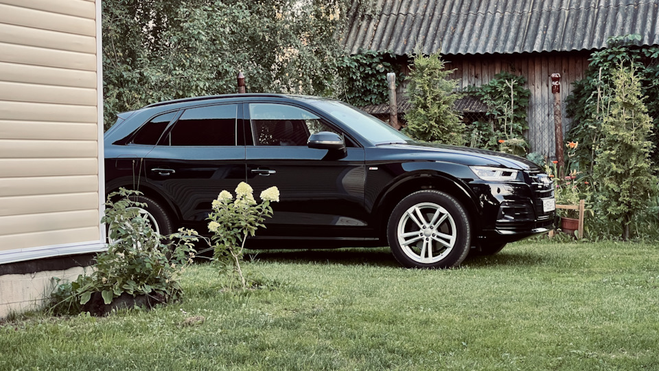 Audi Q5 (2G) 2.0 дизельный 2019 | на DRIVE2