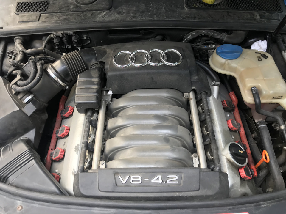 Моторное масло. Что любит ВАГ? — Audi A6 (C6), 4,2 л, 2004 года ...