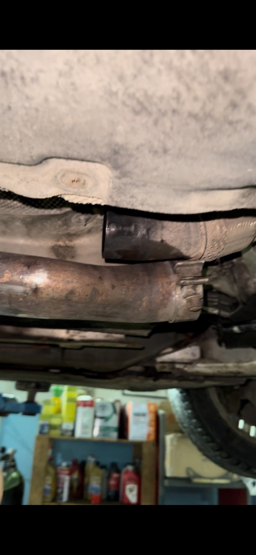 Раздвоенный выхлоп! — BMW 5 series (F10), 2 л, 2011 года | другое | DRIVE2