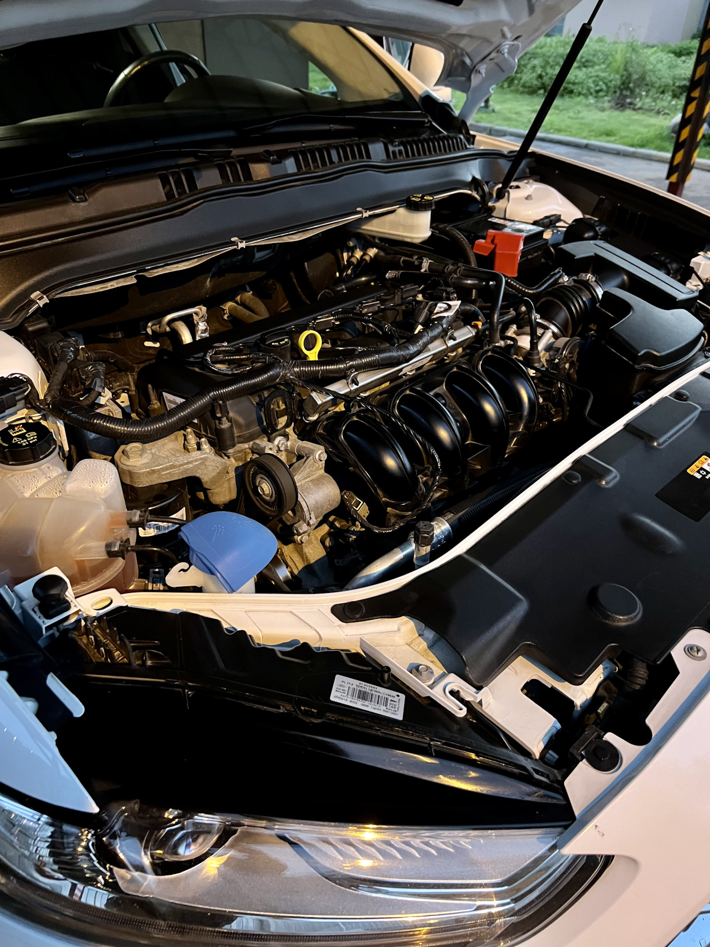 Мойка подкапотного пространства — Ford Mondeo V, 2,5 л, 2019 года ...