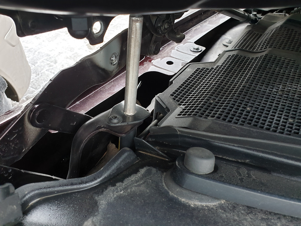 Сбили собаку на безлюдной трассе… — Jaguar XF (2G), 2 л, 2017 года ...