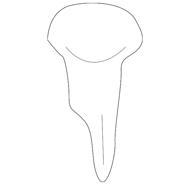 9046707195 Клипса TOYOTA LEXUS | Запчасти на DRIVE2