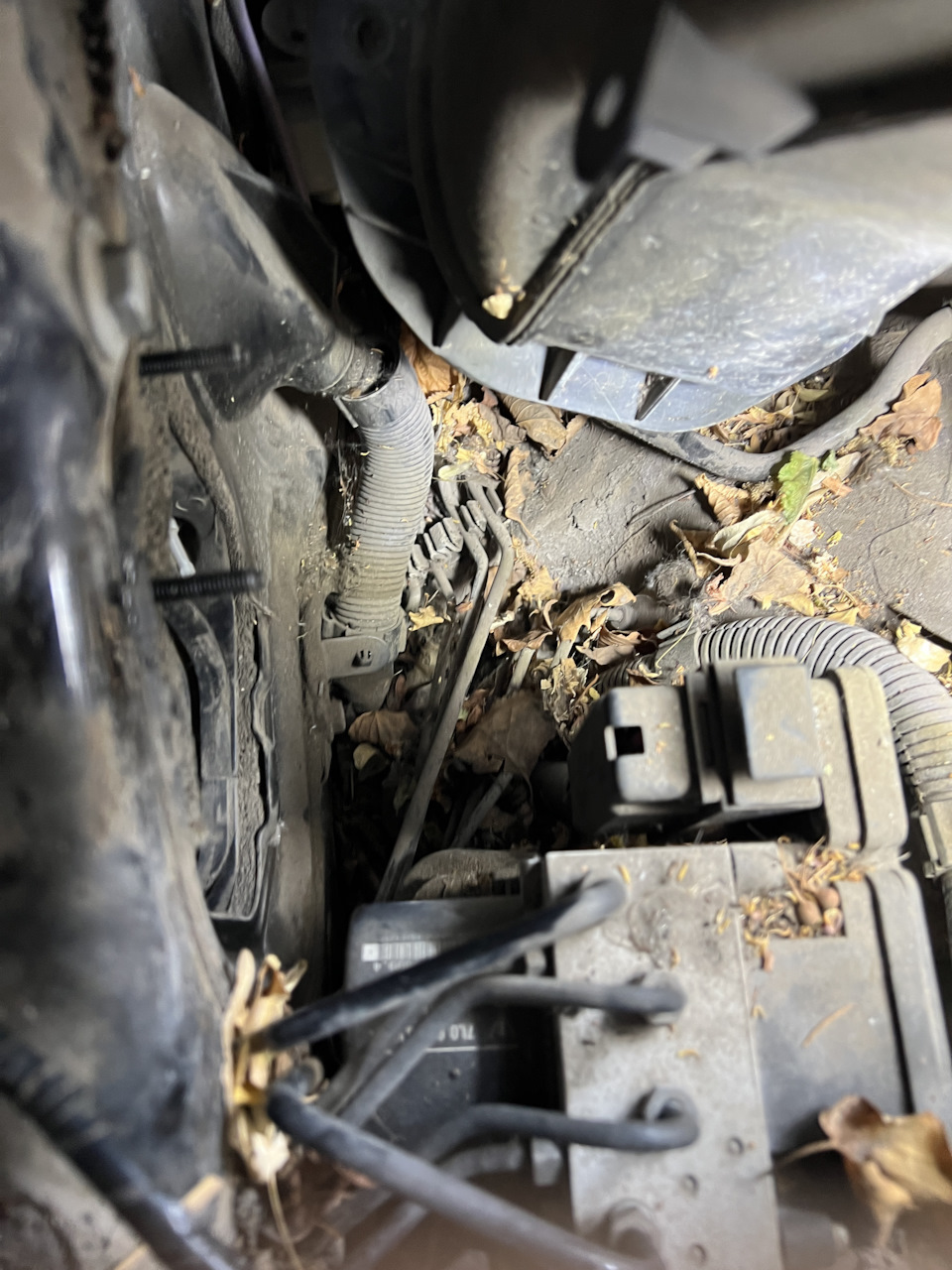 Профилактика трапеции и чистка дренажных карманов — Volkswagen Touareg ...