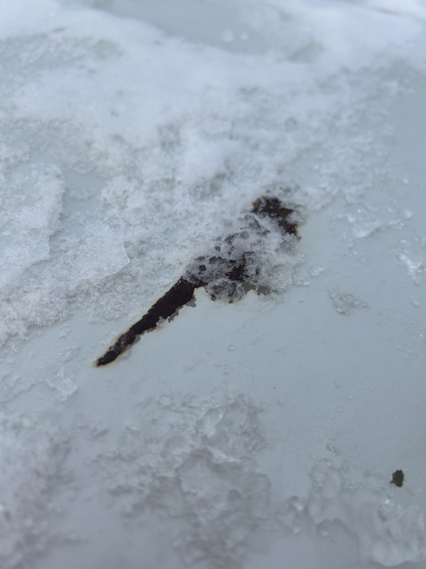 Платим за свои ошибки — Nissan Moco III, 0,7 л, 2012 года | кузовной ремонт | DRIVE2