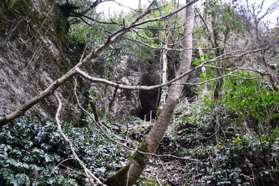 Патубок впускного коллектора от волги — Opel Vectra A, 1,8 л, 1991 года ...