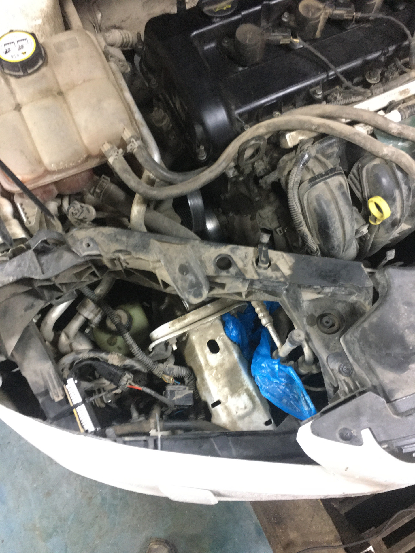 #9. Замена термостата, антифриза и бачка ОЖ с крышкой — Ford Focus ...