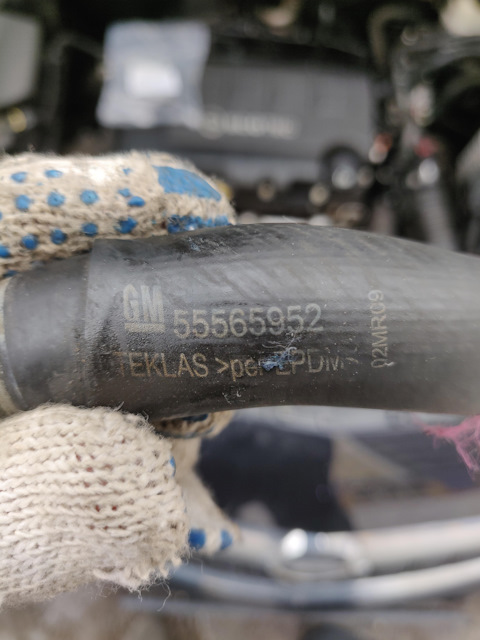 55565952 Шланг маслоохладителя GM | Запчасти на DRIVE2