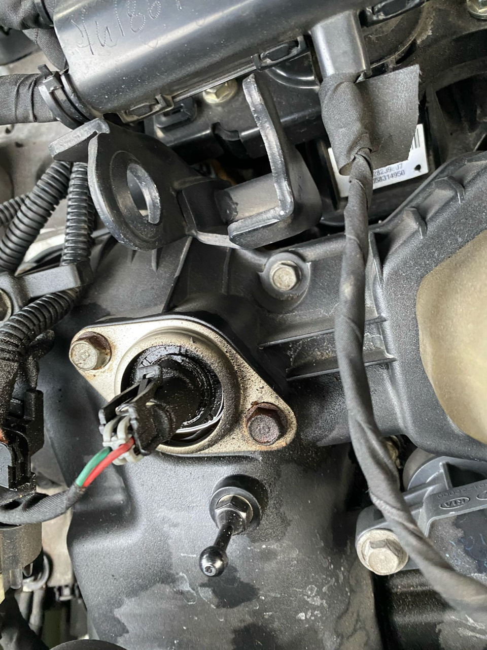 Причина течи масла/Подскажите плиз название — KIA Sorento (3G), 3,3 л ...