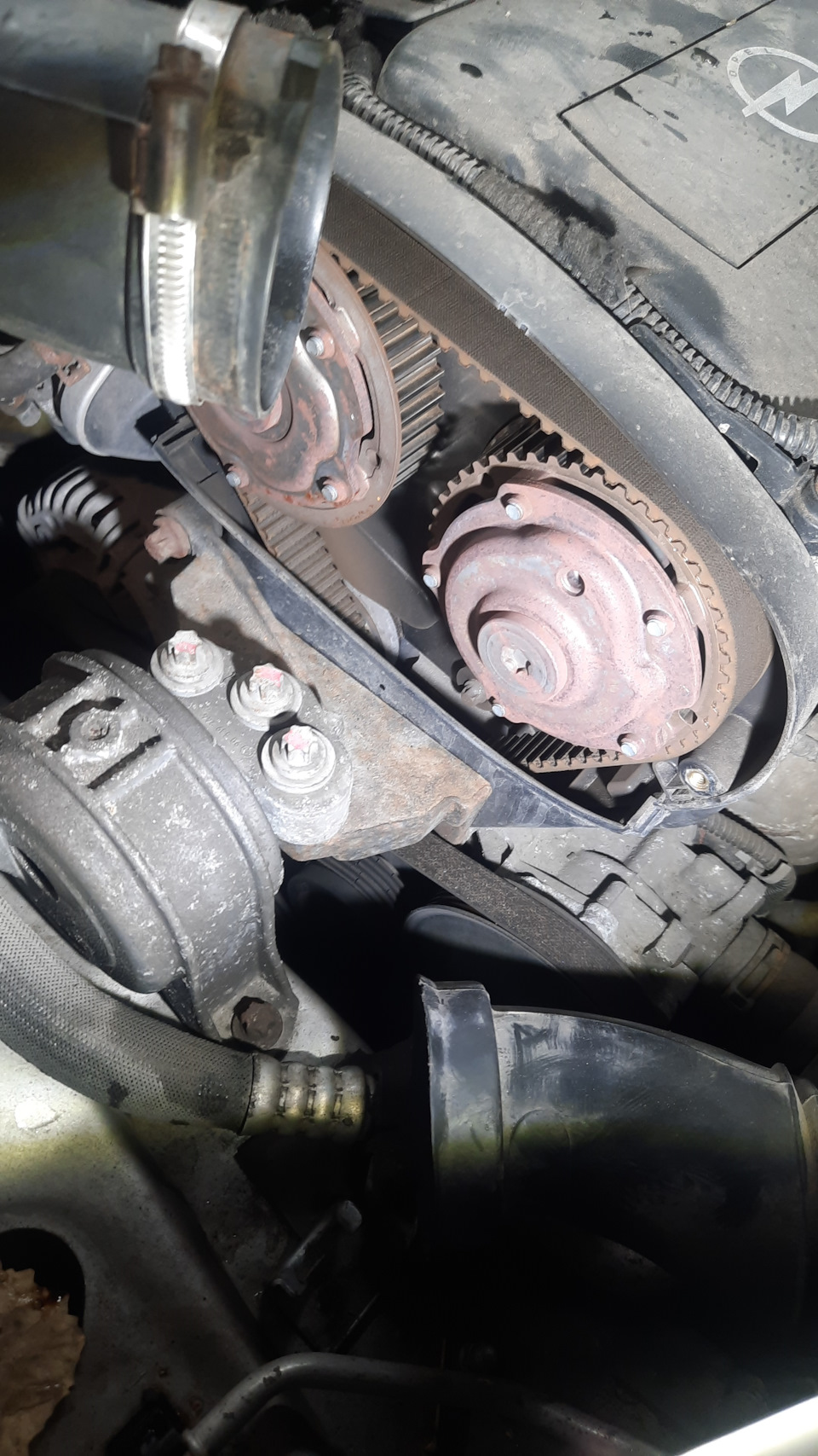 MotorREM: отзывы, цены, фото