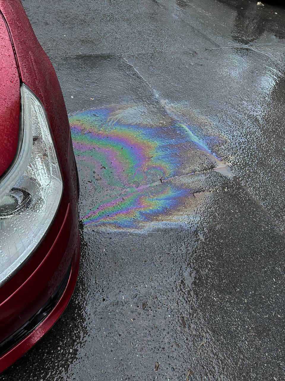 Принимаю ставки господа! — Citroen C4 (1G), 1,6 л, 2006 года | визит на ...