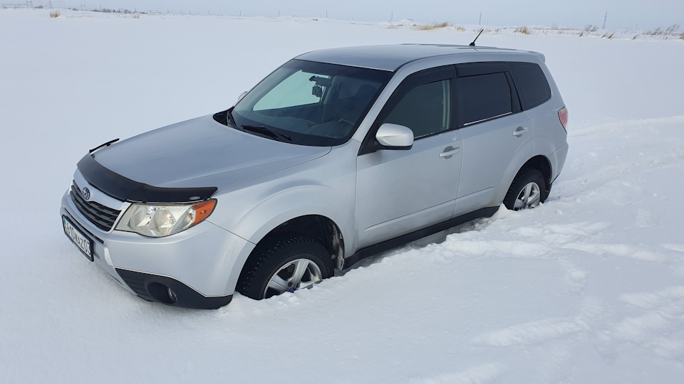 Subaru Forester (SH) 2.5 бензиновый 2010 | Subaru sh 2.5 акпп на DRIVE2